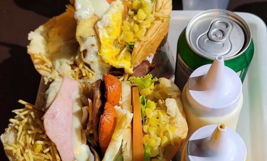 Prefeitura divulga cartilha para Pit-dogs em Goiânia